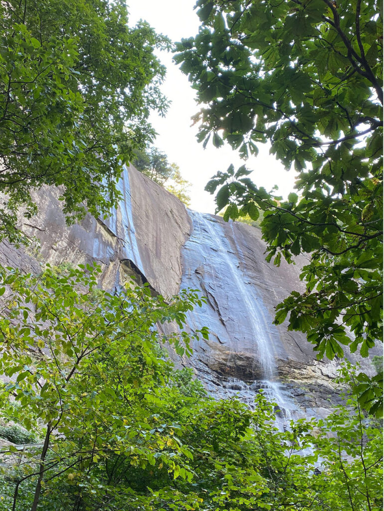 Lake Lure: Exploring Nature Lake Lure: Exploring Nature