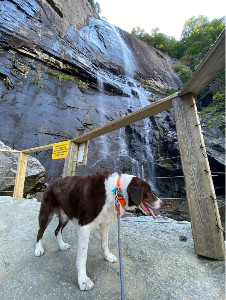 Lake Lure: Exploring Nature Lake Lure: Exploring Nature
