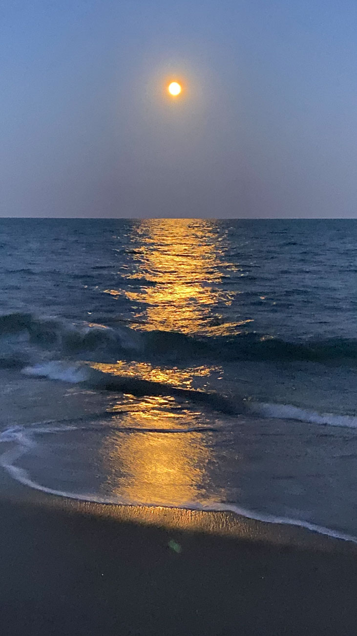 The Quaint Little Beach Town of Edisto, SC