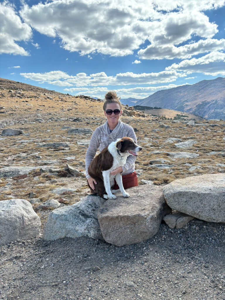 Tips on Traveling Cross Country with Your Dog